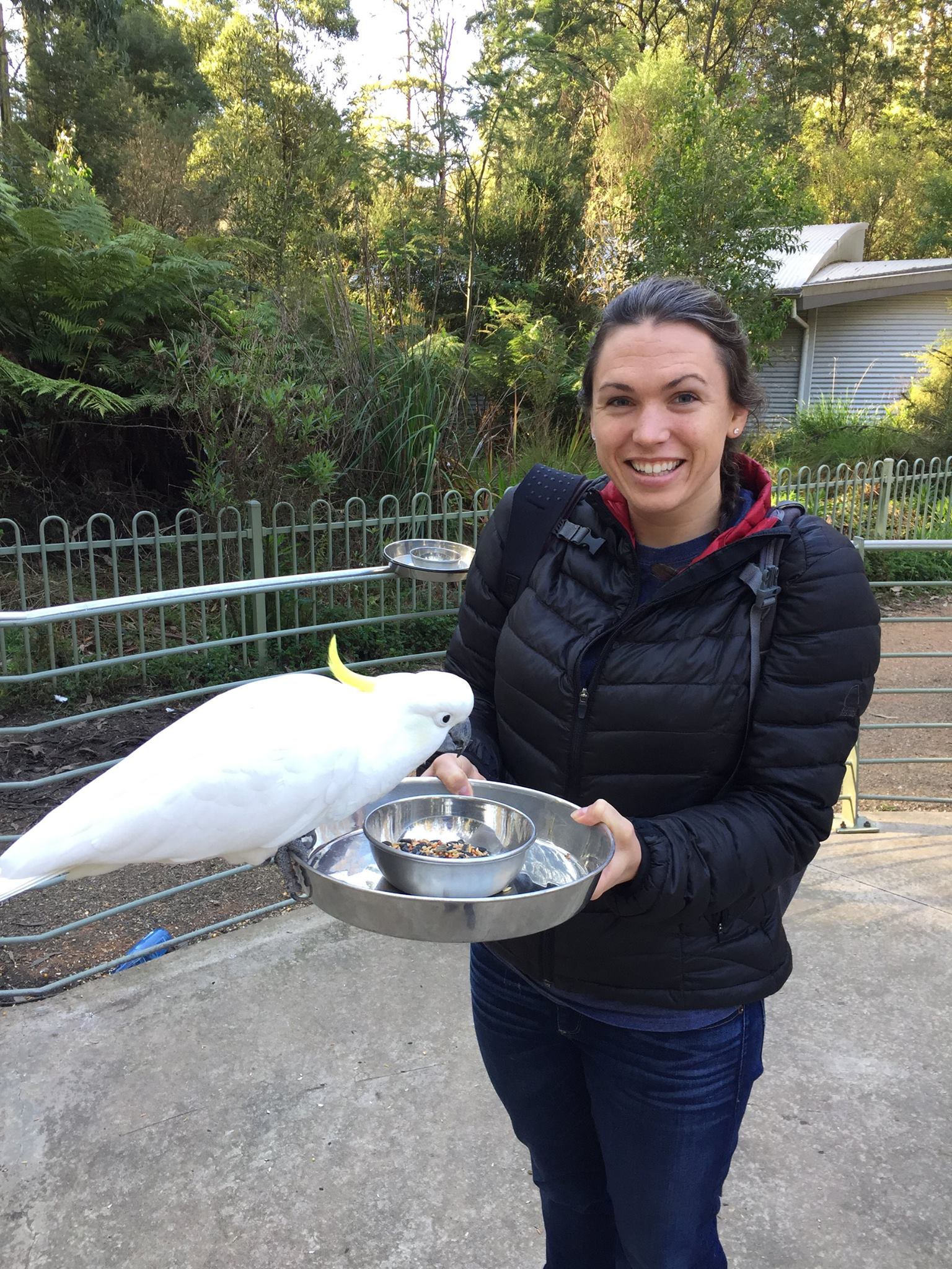 Insights: Rebecca Koch – Functional Ecologists