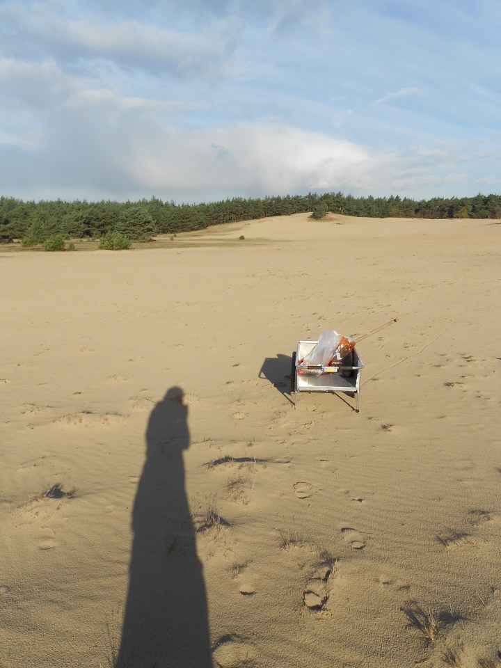 Insight: Ciska Veen – Functional Ecologists