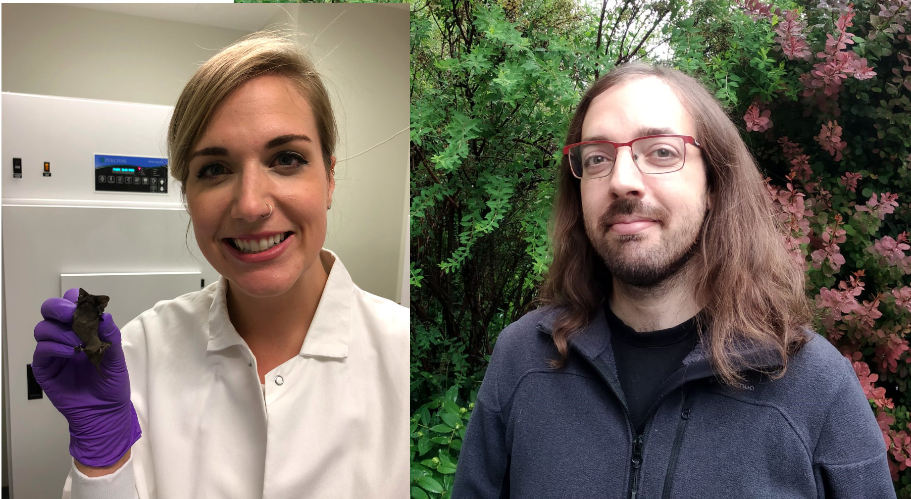 Introducing a new series: “PhDs from around the world” – Functional ...