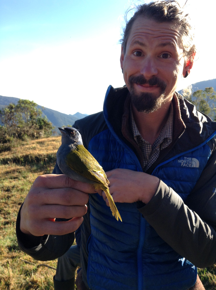Micah Scholer: birds, BMR and survival – Functional Ecologists