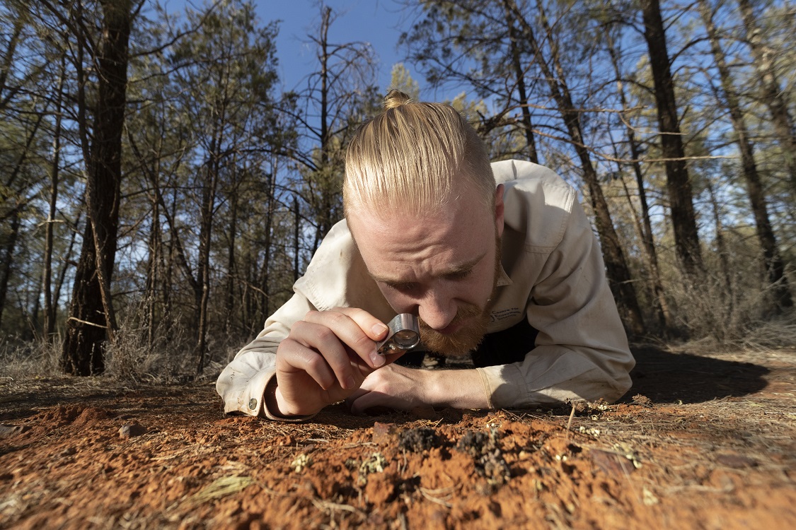 Getting a PhD in Australia – Max Mallen-Cooper – Functional Ecologists