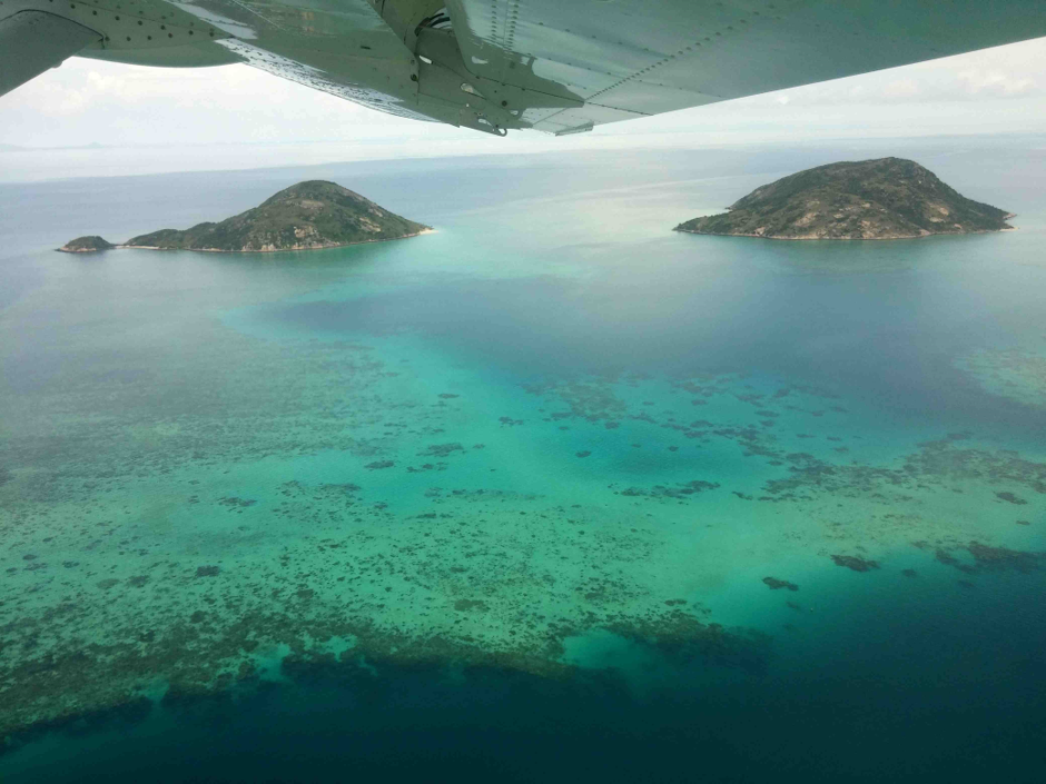 Martin Luehrmann: Evolution of colour vision in coral reef fishes ...