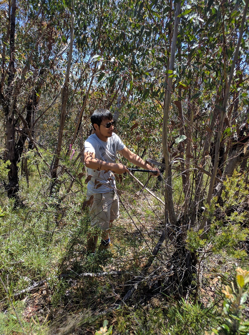 Ximeng Li: More than iso/anisohydry – Functional Ecologists