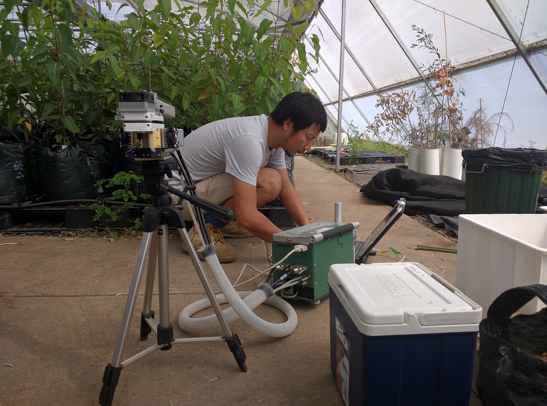 Ximeng Li: More than iso/anisohydry – Functional Ecologists