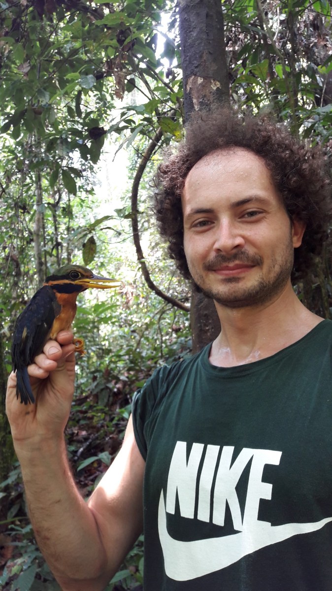 Simone Messina: Effects of logging on stress levels of birds in Borneo ...