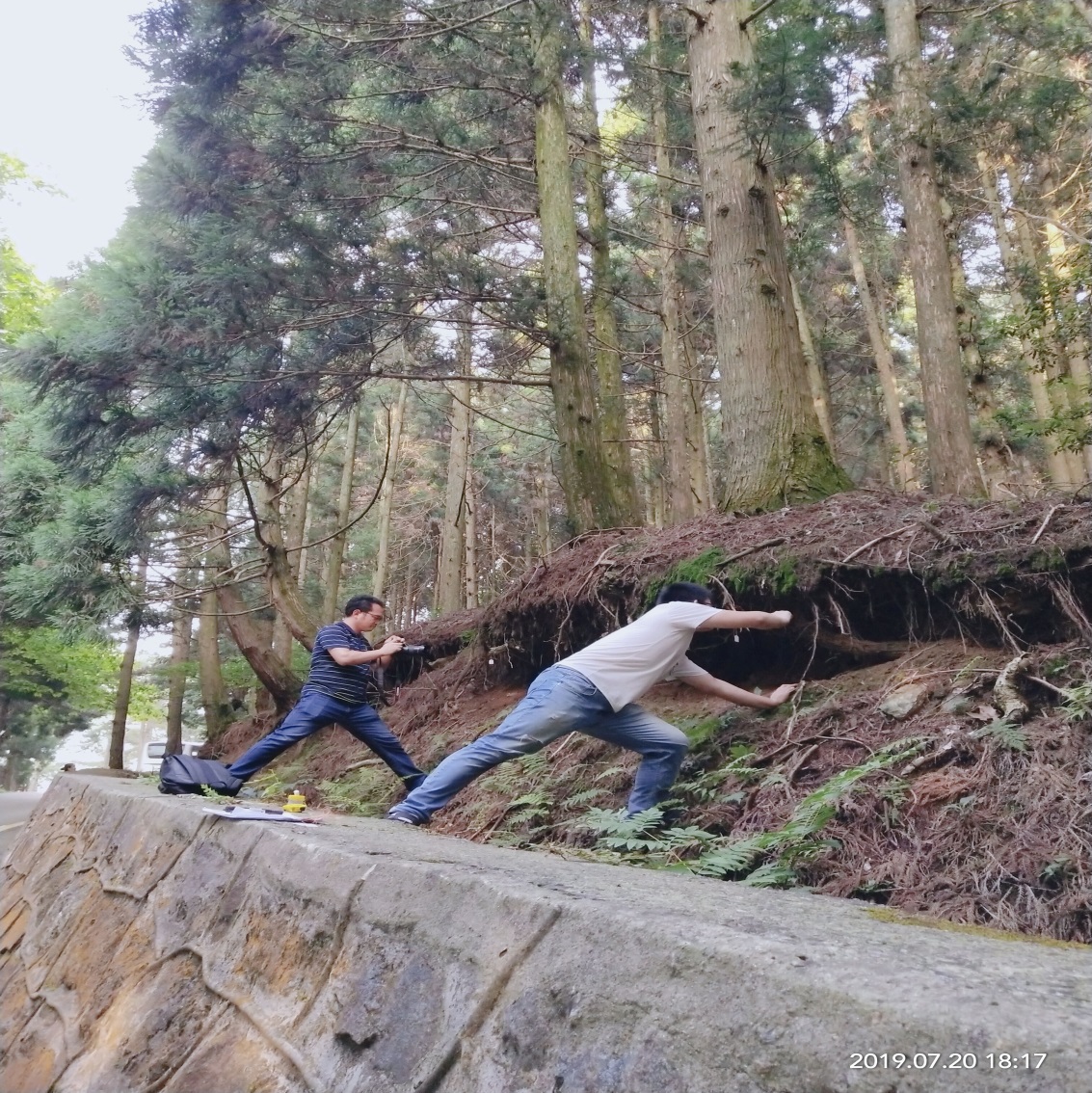 Shichang Zhang: Spiders, detritus decorations and avoiding predators – Functional Ecologists