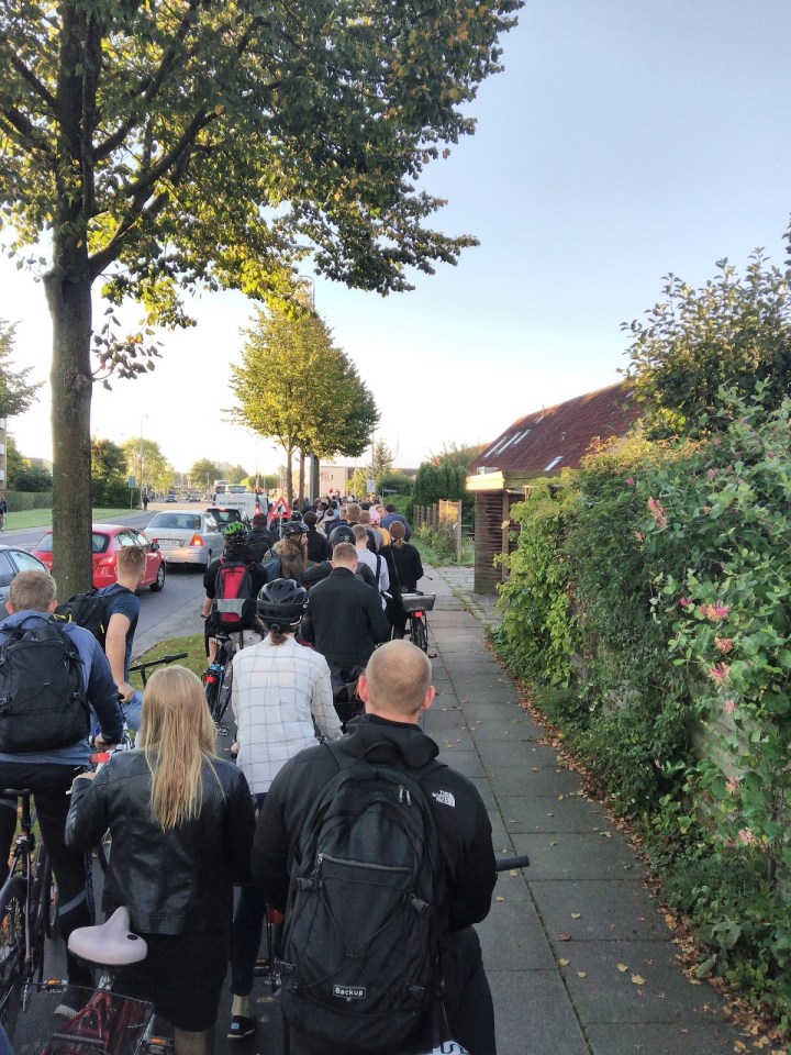 Moving Ecology: Iain Stott – Functional Ecologists