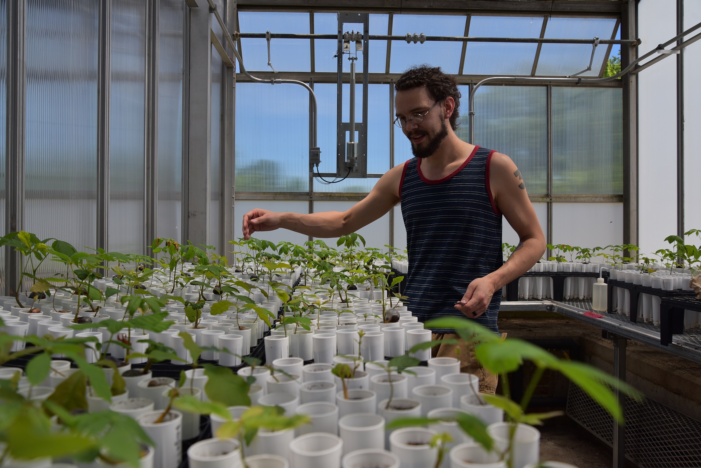 Andrew Eagar: mycorrhizal types influence local spatial structure in ...