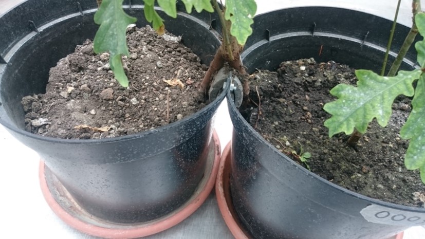 Benjamin Hafner: Split it – disentangling functional mechanisms in ...