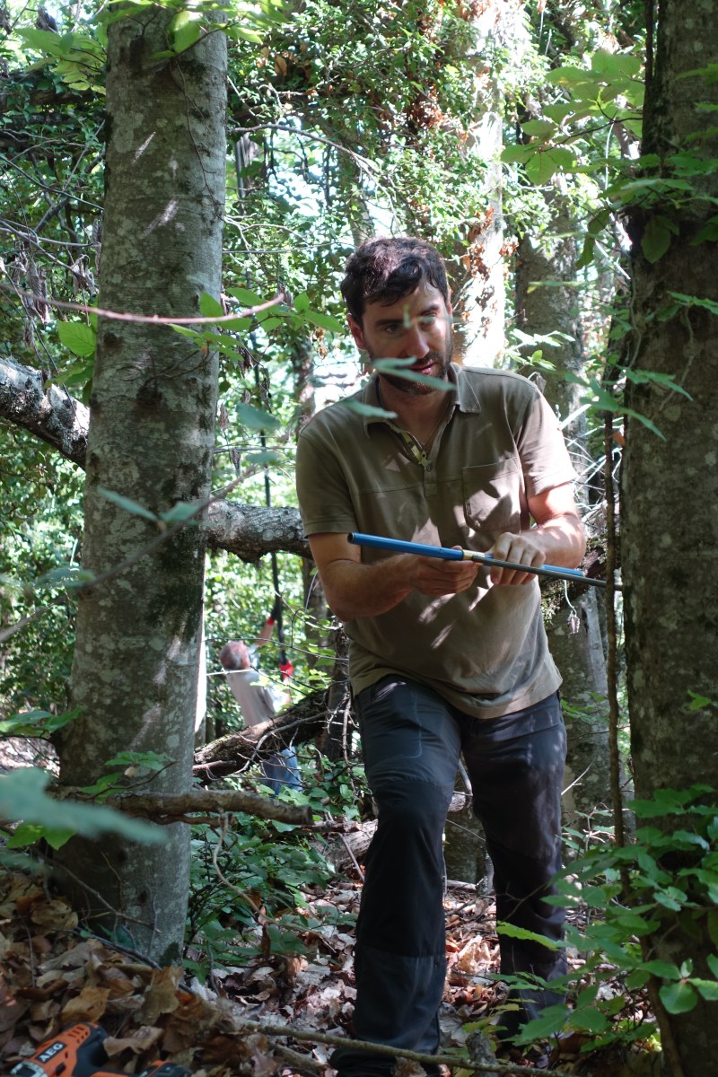 Xavier Morin: Finally seeing the forest for the trees? – A model to ...