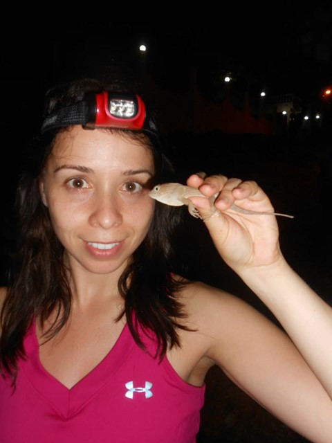 picture-3-1 – Functional Ecologists