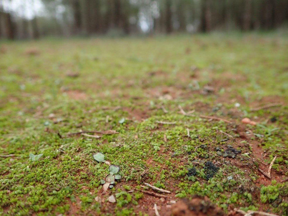 picture2 – Functional Ecologists