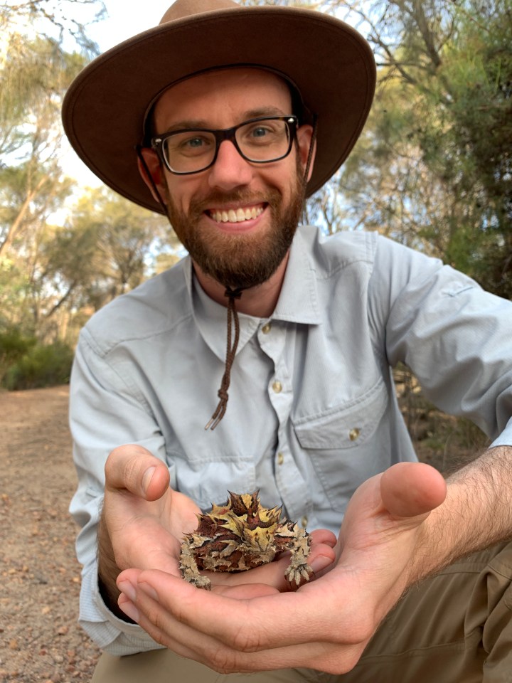 Robin Hare: Notes on a pollen-based sexual economy – Functional Ecologists