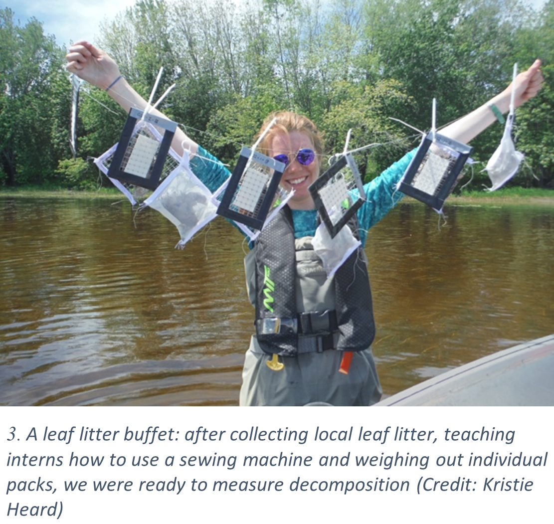 Natalie K. Rideout: Sifting through the wetland muck to examine links ...