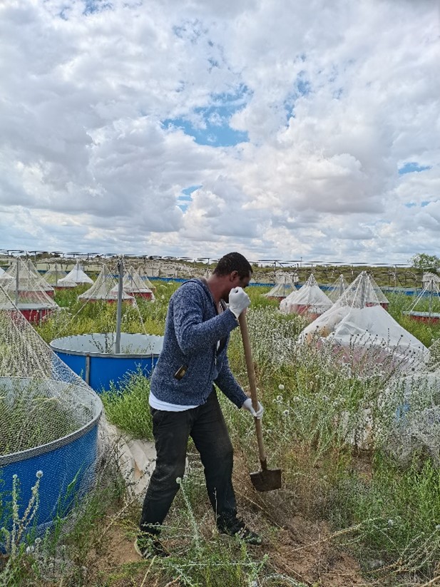 Gideon Deme Gywa: The story of a black ecologist growing up in an environment with limited ...
