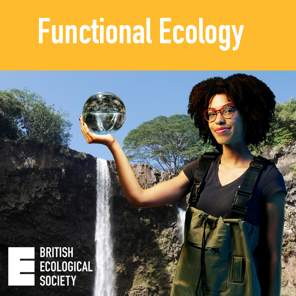 Sandra Klemet-N’Guessan discusses how to cultivate a more equitable and diverse landscape in ...