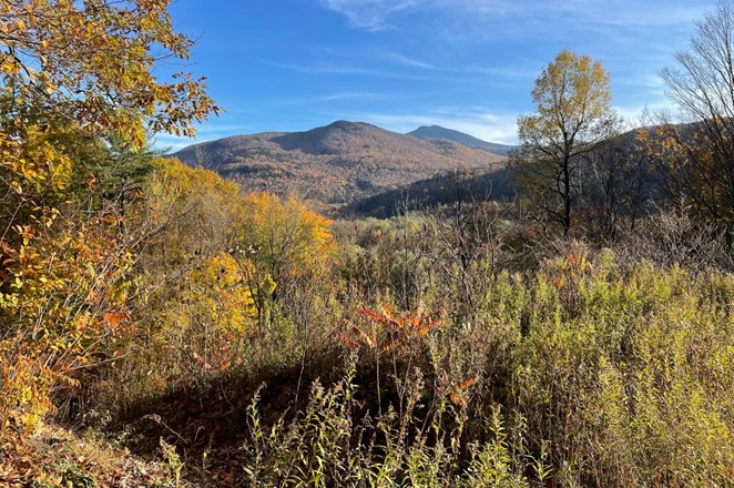 Melissa Pastore: What’s happening beneath our feet when it comes to ...