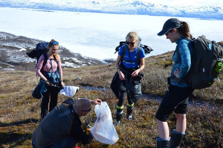 Aoife Cantwell-Jones: How Arctic bees interact with plants depends on body size variation and ...