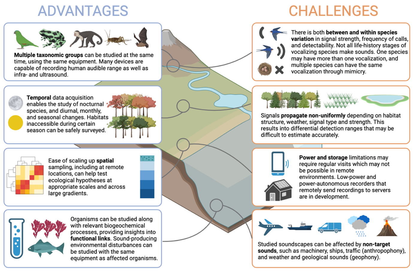 Sam Ross: Listening for the answers to fundamental questions – Functional Ecologists
