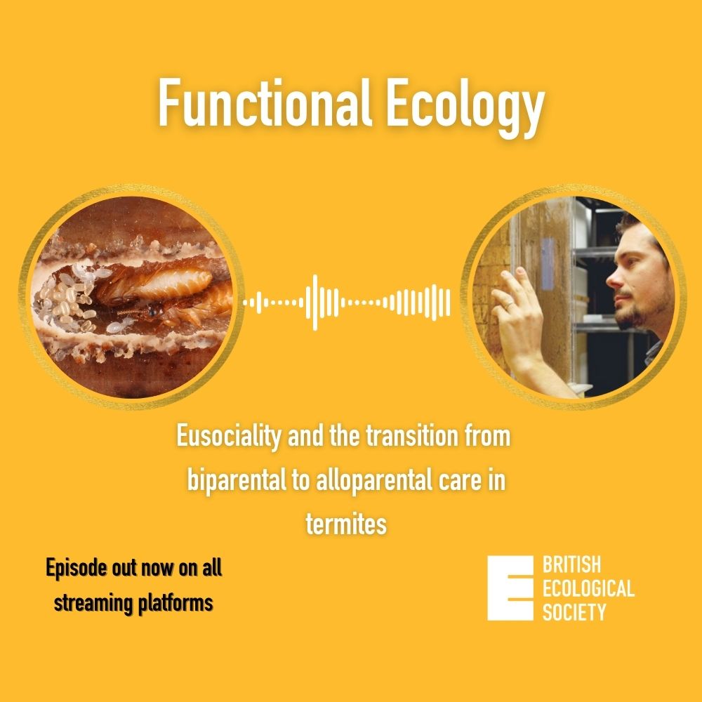Eusociality and the transition from biparental to alloparental care in ...