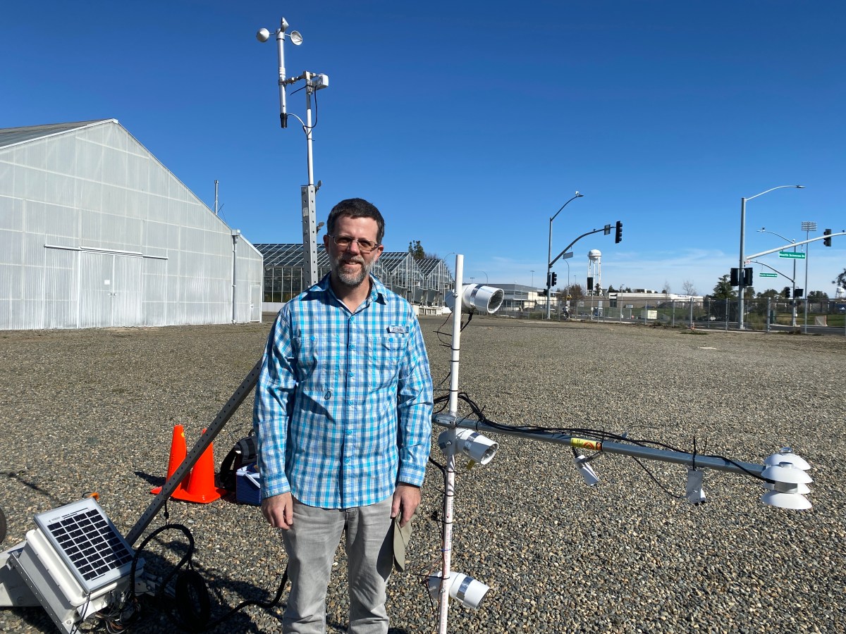 Matthew Gilbert: Flowers of a South African succulent plant predict ...