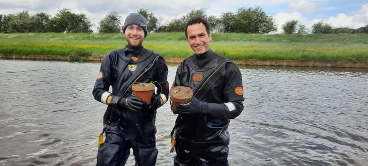 Joshua Brian: Parasites flex their mussels to influence ecosystem ...