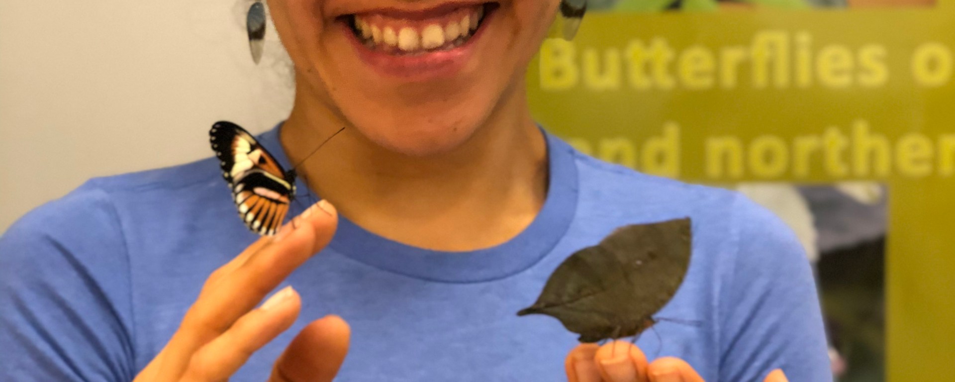 Laura Figueroa: Bees, flowers, and beyond—One researcher’s path to ...