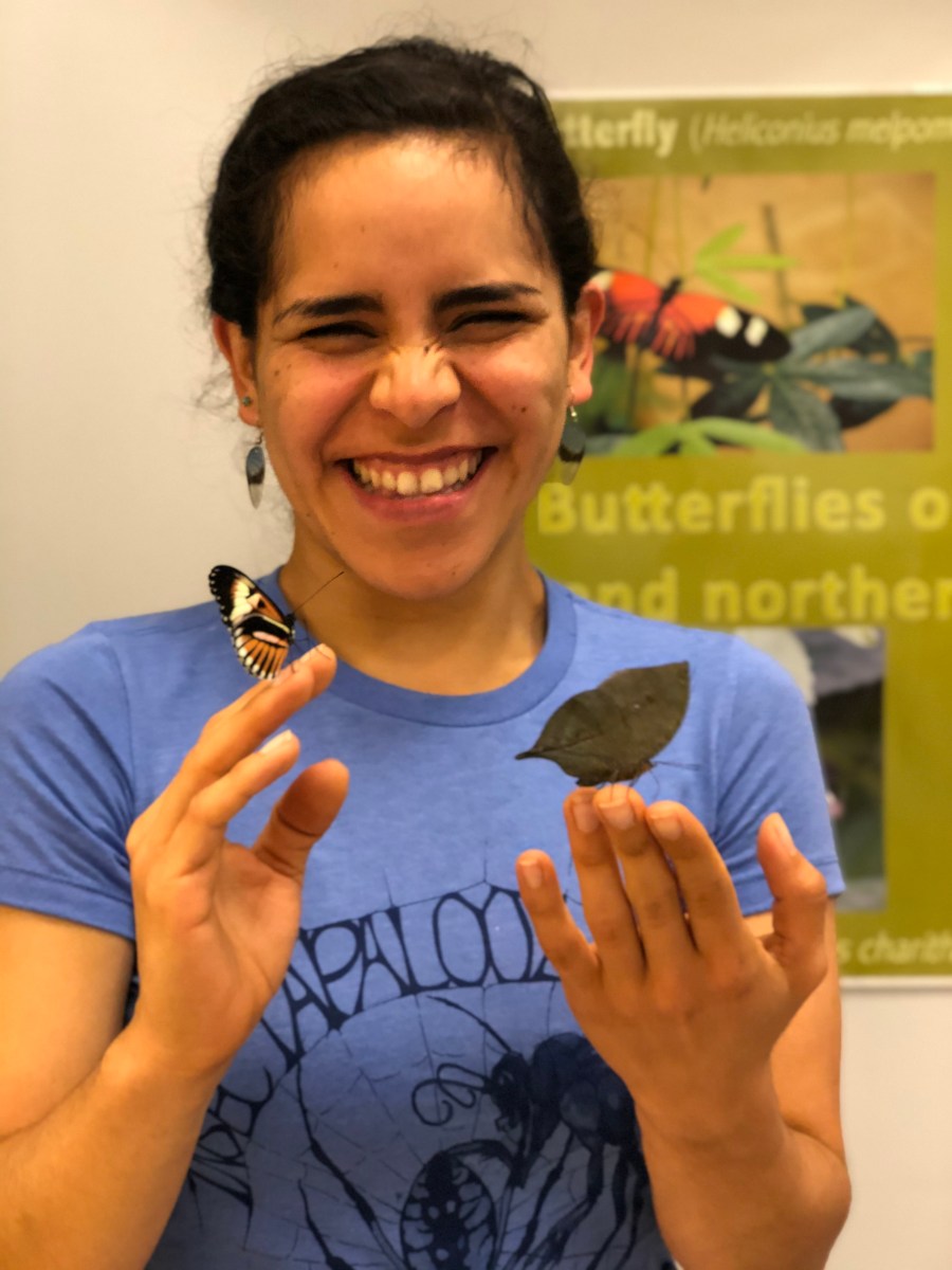Laura Figueroa: Bees, flowers, and beyond—One researcher’s path to ...