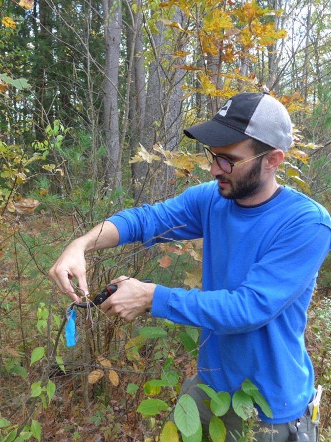 Dan Buonaiuto: Understanding the effects of temperature and light in ecological experiments—the ...