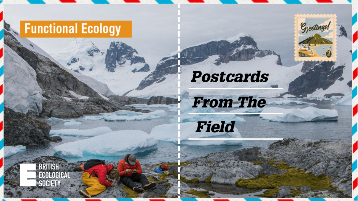 Postcards From The Field: Contribute to our new blog series ...