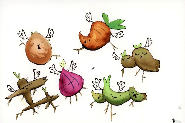 Curtis Lubbe: Trash or treasure—rhizomes as a vital plant organ – Functional Ecologists