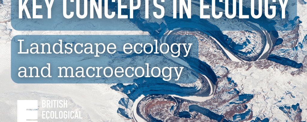 Key Concepts in Ecology: Landscape ecology and macroecology ...