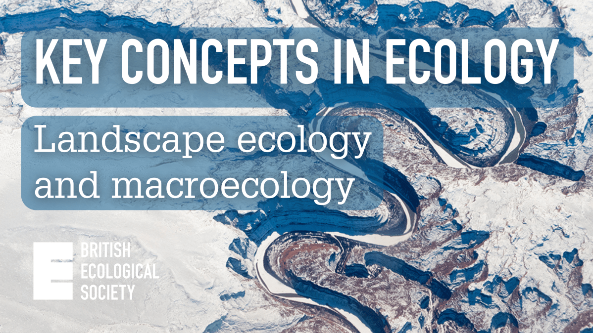Key Concepts in Ecology: Landscape ecology and macroecology ...