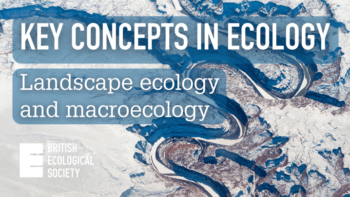 Key Concepts in Ecology: Landscape ecology and macroecology – Functional Ecologists