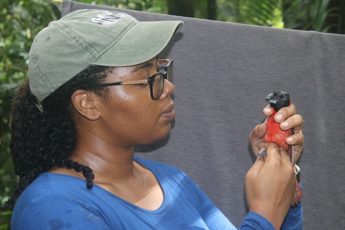 Meet the (Blog) Editor: Arianne-Elise Harris – Functional Ecologists