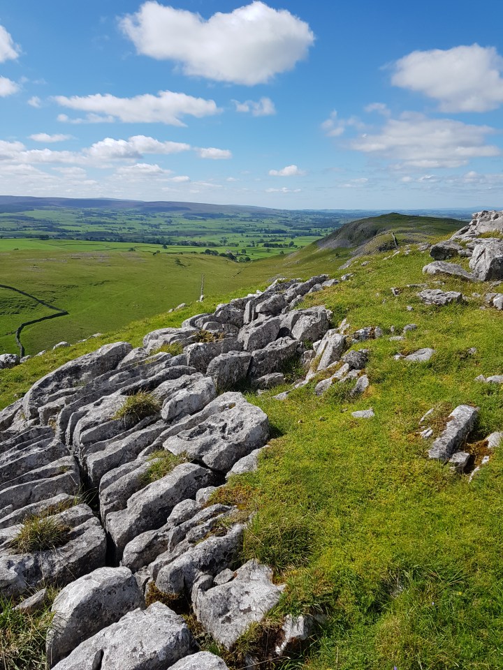 Carly Stevens: Exploring Great Britain’s limestone pavements ...