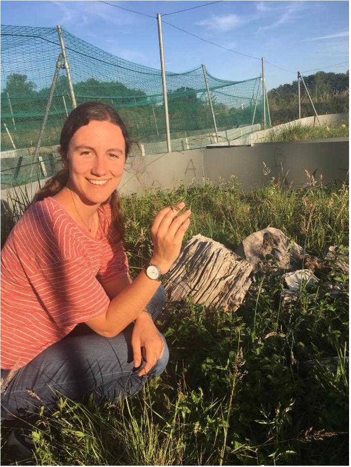 Chloé Chabaud | Can thirsty lizards still sense danger? – Functional ...